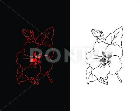 Hibiscus Flower vector file download | Editable file Illustration ...