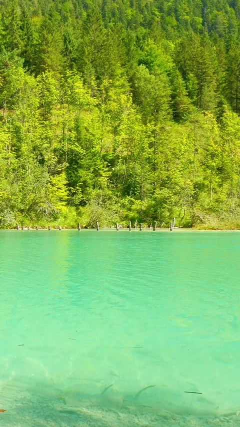 Little Hidden Stock Videos – Royalty-Free HD & 4K Videos | Pond5