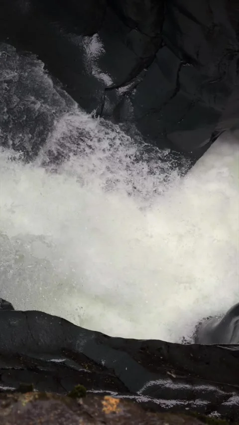 Sunlight Threaded Through Stock Videos – Royalty-Free HD & 4K Videos