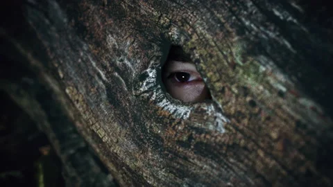 Hidden Person Eye Lurking Tree Trunk Hol... | Stock Video | Pond5