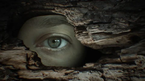 Voyeur Place From View Stock Footage ~ Royalty Free Stock Videos | Pond5