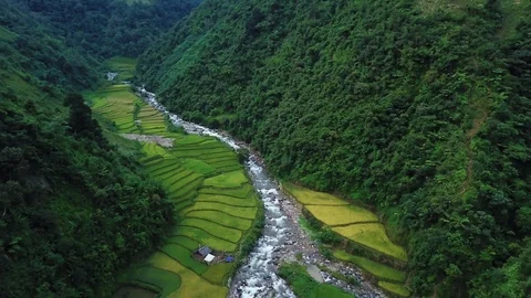 Hidden Rice Fields in Vietnam jungle, Ae... | Stock Video | Pond5