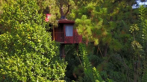 Treehouse Stock Video Footage | Royalty Free Treehouse Videos | Pond5