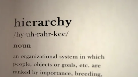 Hierarchy Diagram Stock Video Footage | Royalty Free Hierarchy Diagram ...