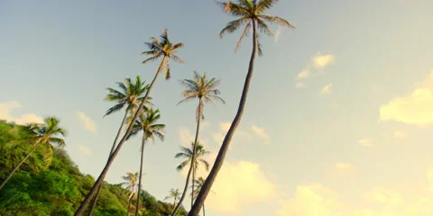 Soaring Hi Stock Videos – Royalty-Free HD & 4K Videos | Pond5