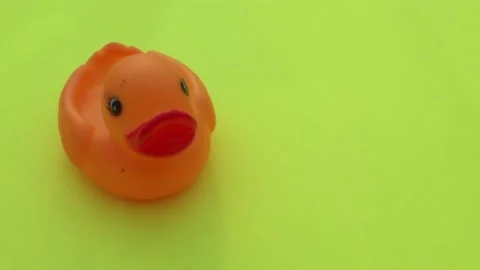 Pink Rubber Duck Stock Videos – Royalty-Free HD & 4K Videos