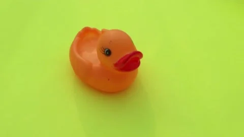 Pink Rubber Duck Stock Videos – Royalty-Free HD & 4K Videos