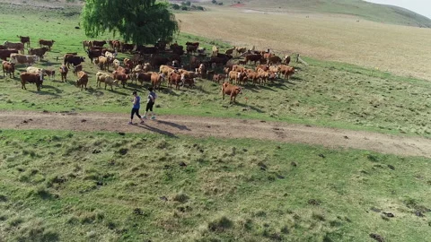 Angle Photos Stock Videos – Royalty-Free HD & 4K Videos | Pond5