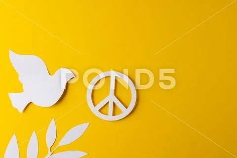 Photograph: High angle view of white peace sign, white dove and leaf ...