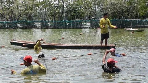 High definition of a bountiful catch of ... | Stock Video | Pond5