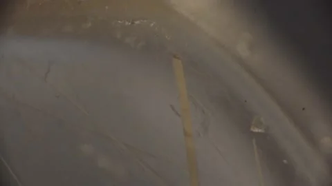 High-Magnification Venus' hair Under mic... | Stock Video | Pond5