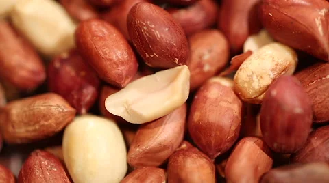 Peanuts Fight Stock Videos – Royalty-Free HD & 4K Videos