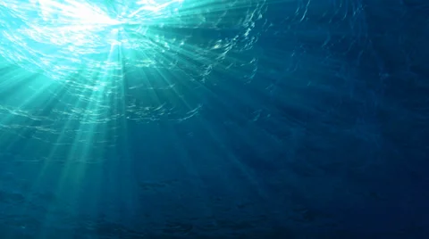 Underwater Animation Stock Videos – Royalty-Free HD & 4K Videos | Pond5