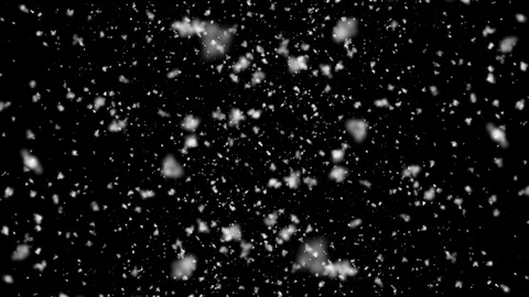 High Qualit Stock Videos – Royalty-Free HD & 4K Videos