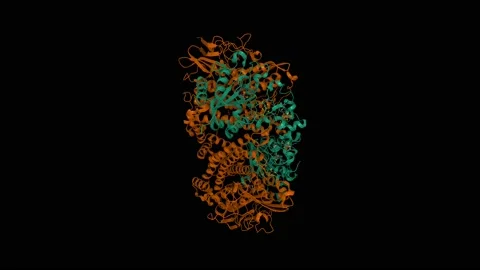 High resolution structure of native hydr... | Stock Video | Pond5