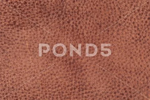 High resolution texture. Background. Skin. Stock Photo #136080320