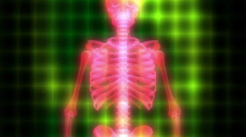 High Tech Skeleton Scan Looping Animated... | Stock Video | Pond5