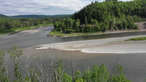 High Tree Top Fly Over Reveal Footage ov... | Stock Video | Pond5