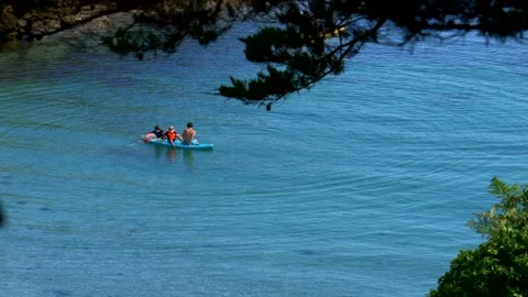 Wild Boys X Stock Videos – Royalty-Free HD & 4K Videos | Page 3