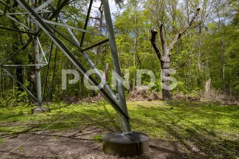 High voltage pylon electricity pylon in the forest symbol photo ...