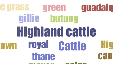 Highland Cattle Tag Cloud Animated Isola... | Stock Video | Pond5