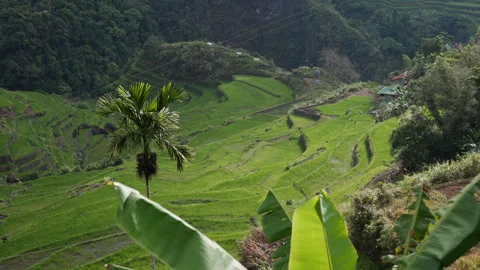 Highland Rice Terraces Amidst Mountain P... | Stock Video | Pond5