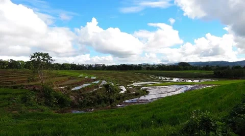 Highland rice terraces time | Stock Video | Pond5