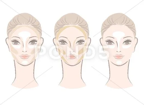 Highlighting and contouring area chart for corrective face shape ...