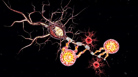 Highly detailed animation of Neuron stru... | Stock Video | Pond5