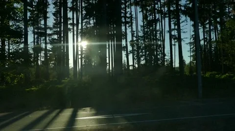 Highway Road - Forest Sunset - Side View | Stock Video | Pond5