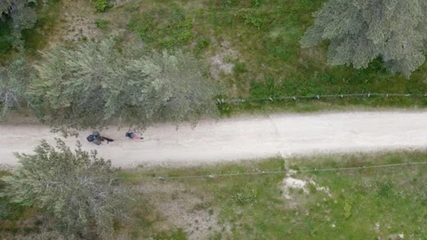 Donkey Walk Stock Videos – Royalty-Free HD & 4K Videos | Page 2