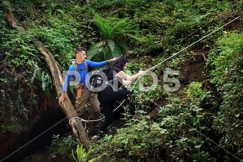 Hikers climb up a forest path with the help of a rope. Editorial use ...