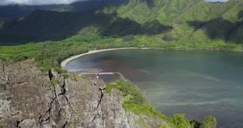 Crouching Lion Stock Videos – Royalty-Free HD & 4K Videos | Page 2