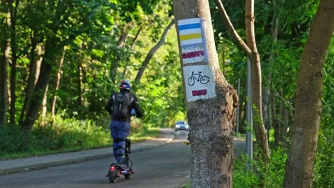 Busy Marking Stock Videos – Royalty-Free HD & 4K Videos | Pond5