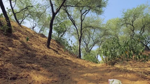 Rajasthan Desert Stock Video Footage | Royalty Free Rajasthan Desert ...