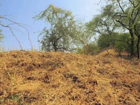 Rajasthan Desert Stock Video Footage | Royalty Free Rajasthan Desert ...