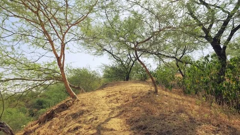 Rajasthan Desert Stock Videos – Royalty-Free HD & 4K Videos