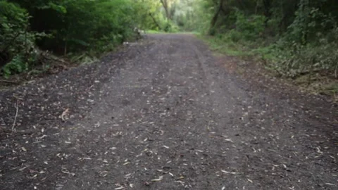 Stock Footage by Denis Ganenko | Official Pond5 Storefront