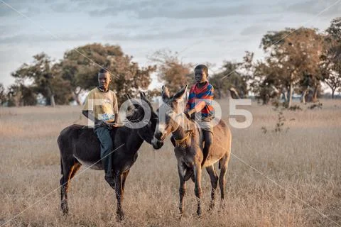 Himba boys, indigenous namibian ethnic people, Africa ~ Premium Photo ...