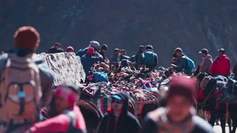 Hindu Pilgrims During Pilgrimage To Lord... | Stock Video | Pond5