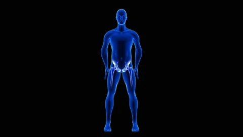 Hip Pain close-up animation. Blue Human ... | Stock Video | Pond5