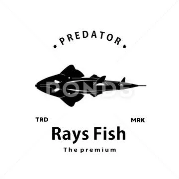 Hipster rays fish logo vector outline silhouette art icon: Graphic ...