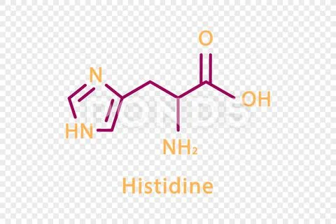 Histidine chemical formula. Histidine structural chemical formula ...