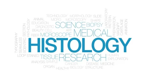 Histology Stock Videos – Royalty-Free HD & 4K Videos