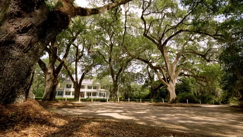 Baton Rouge Stock Videos – Royalty-Free HD & 4K Videos