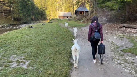 Historic water mill and farm in the Kvac... | Stock Video | Pond5