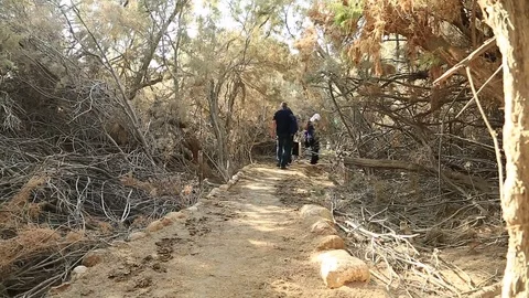 Christ Place North Stock Videos – Royalty-Free HD & 4K Videos | Pond5