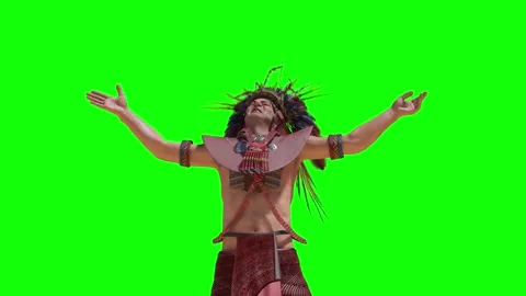 Historical portrait of Maya Prince Ruler... | Stock Video | Pond5