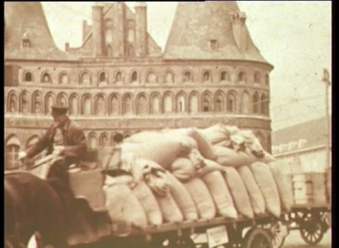 Hitler Youth and the Rise of Nazi Influe... | Stock Video | Pond5