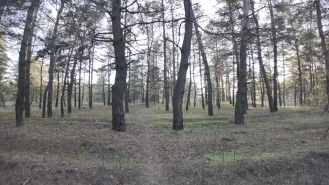 Format J Stock Videos – Royalty-Free HD & 4K Videos